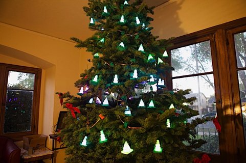 Dmx Controlled Christmas Tree Lights | Shelly Lighting